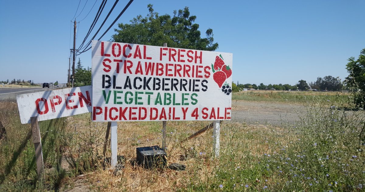 Rick's Berry Farm | Visit Vacaville