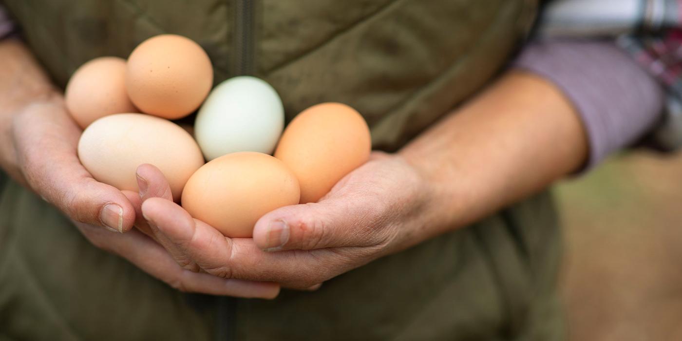 Vacaville Events | Vacaville Events Guide