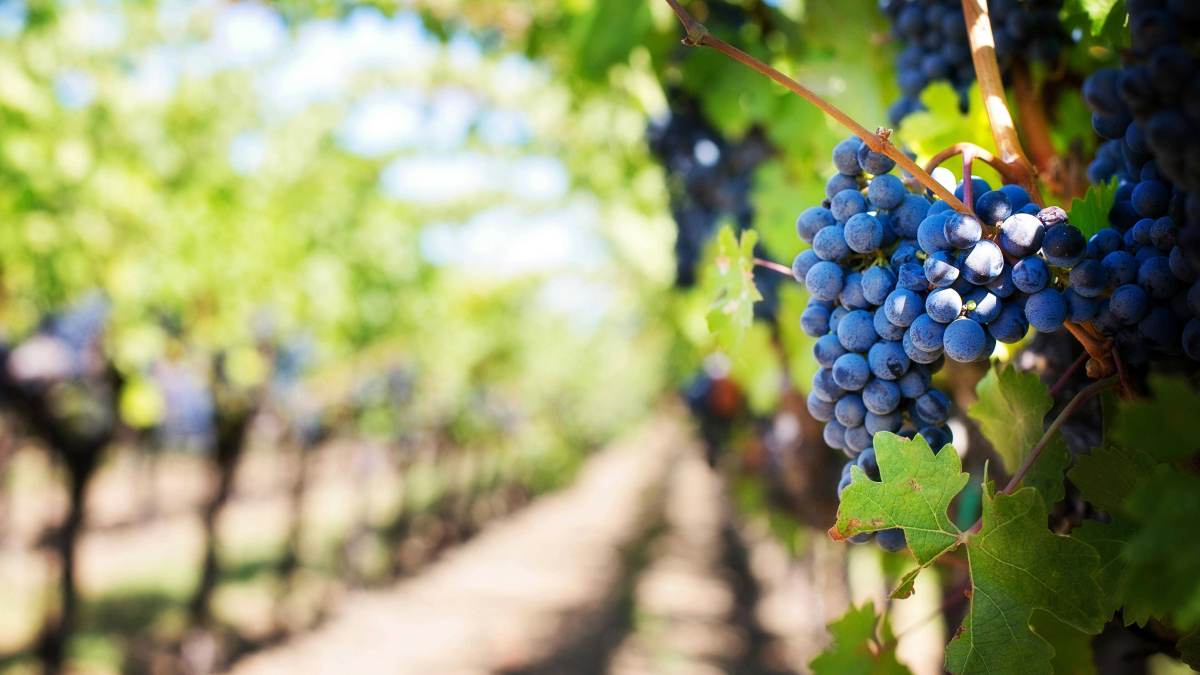 Visit Vacaville | Vacaville CA | City of Vacaville